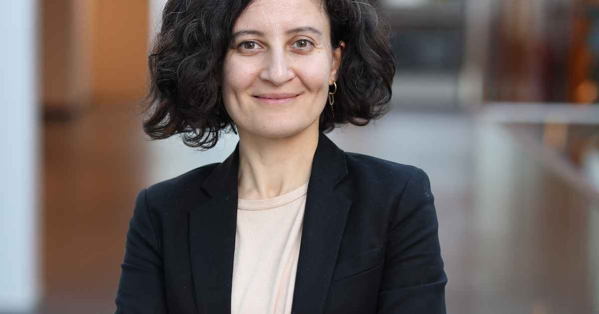 Sibel Eker (Jan 2024 - May 2024) - Institute for Advanced Study IAS - University of Amsterdam