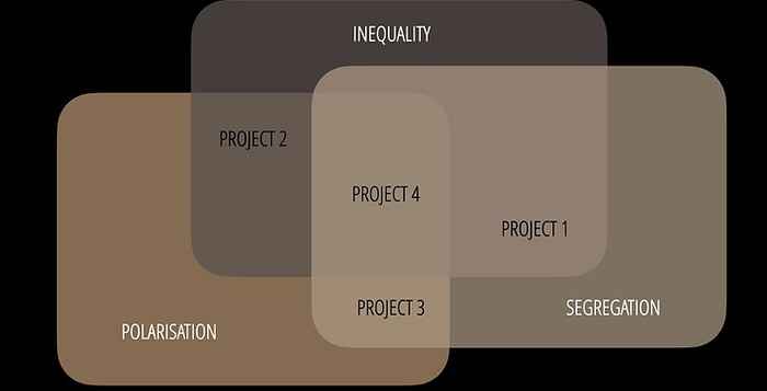 Emergent Phenomena In Society Polarization Segregation Inequality Institute For Advanced
